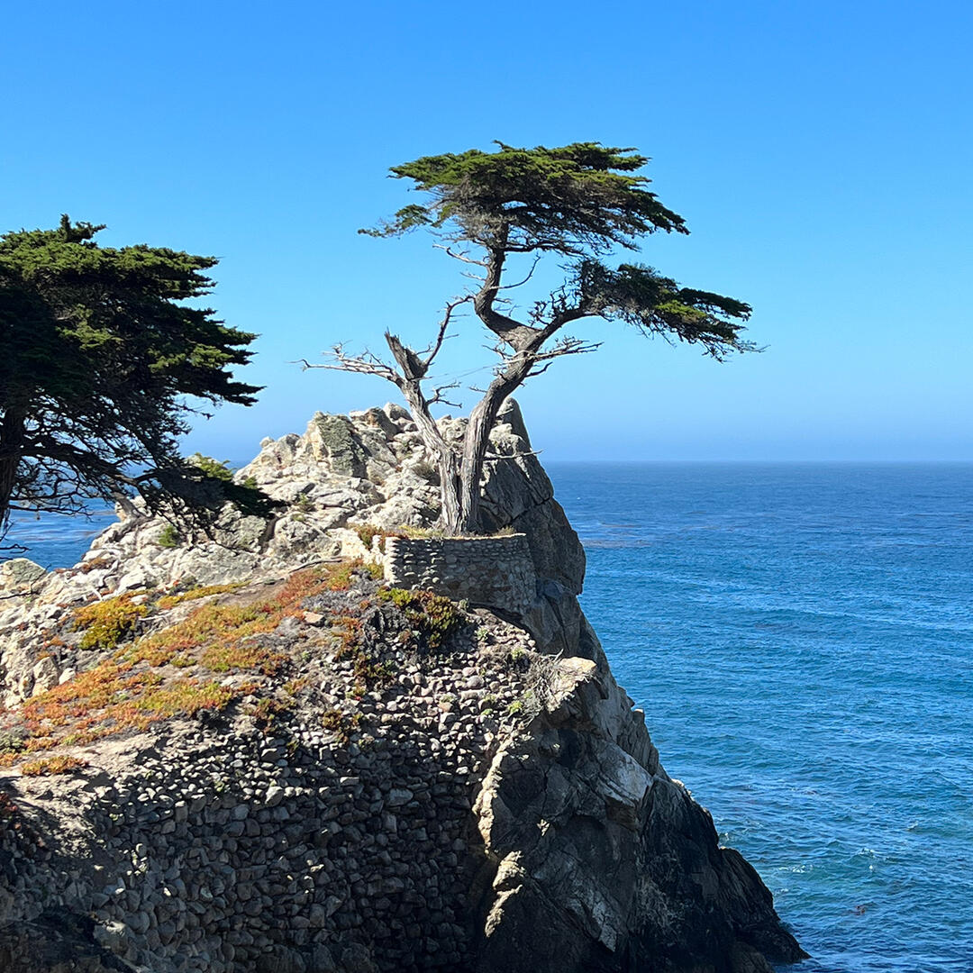 17-Mile Drive Road Trip by Fotospot