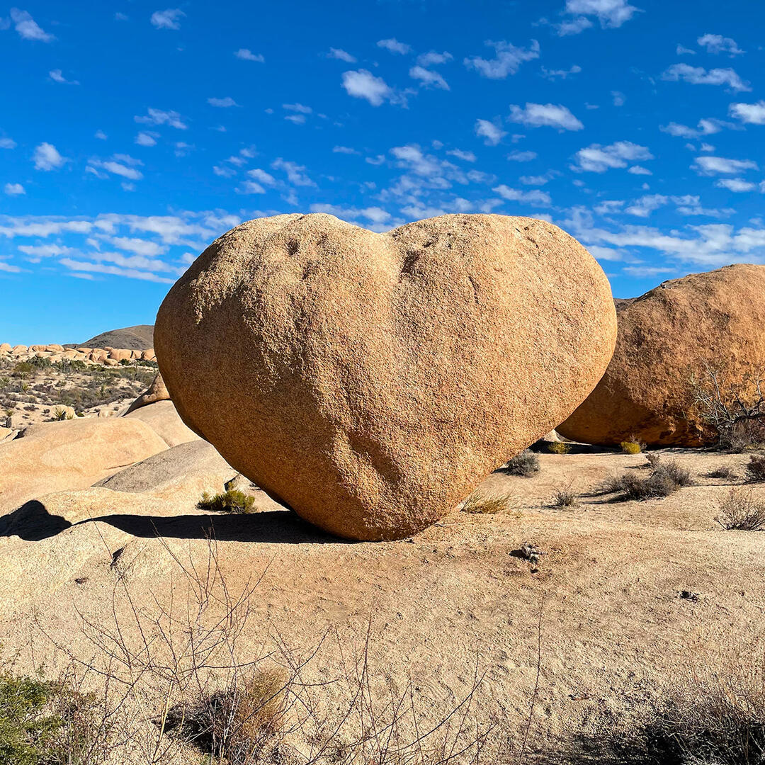 Joshua Tree National Park's Best Photo Spots by Fotospot