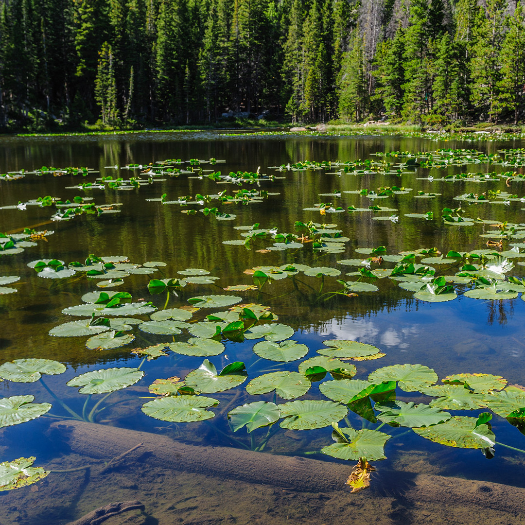 Rocky Mountain National Park’s Best Photo Spots by Fotospot