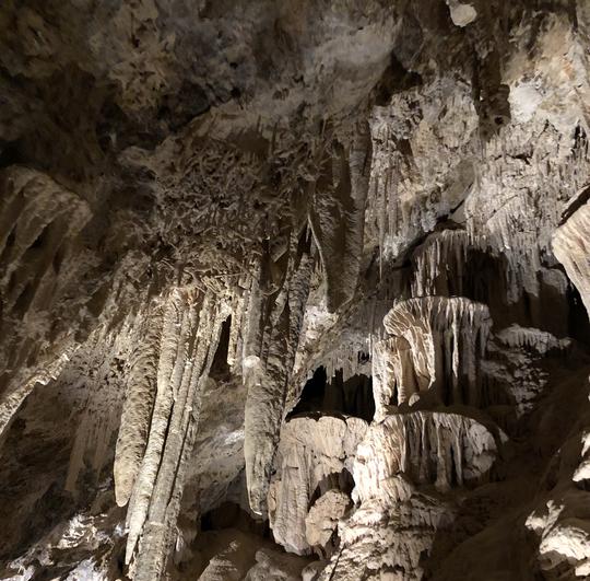 Mitchell Caverns in Essex, CA