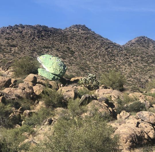 Frog Rock in Congress, AZ