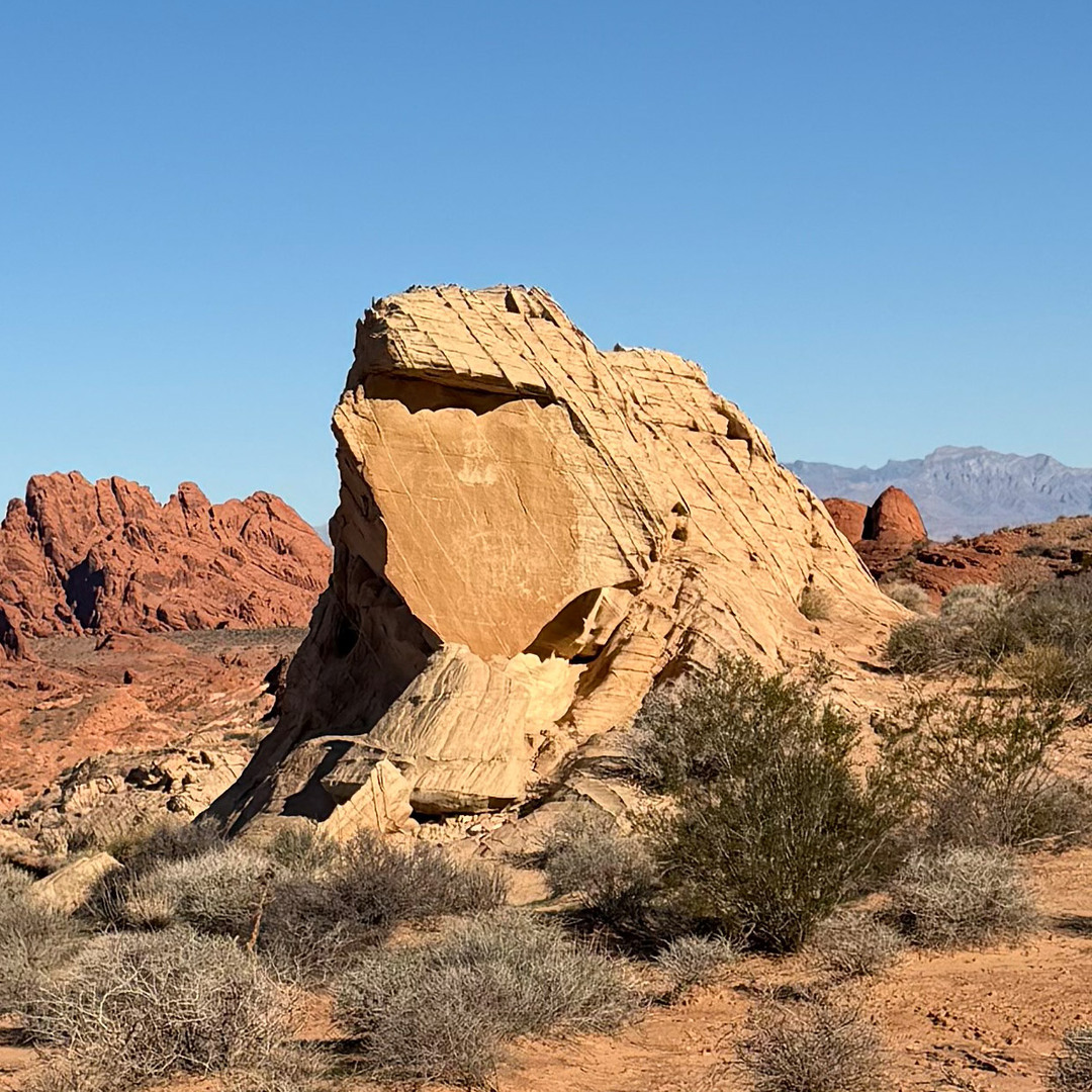 Iguana Rock in Overton, NV (2 Photos)
